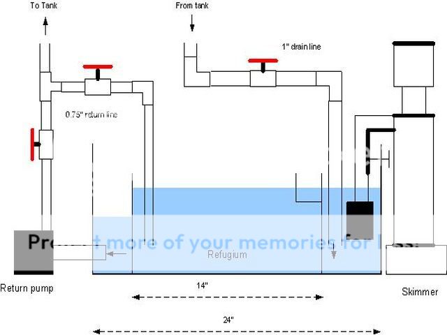 Start to setup my 90 gal FOWLR | AquariaCentral.com