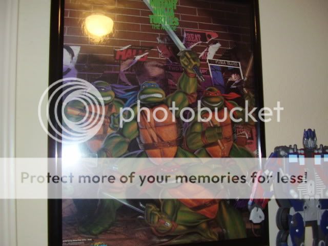 Rufus's tmnt collection - The Technodrome Forums