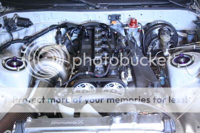 *Ultimate 7mgte Engine Bay Pic Thread* | Page 21 | Supra Forums