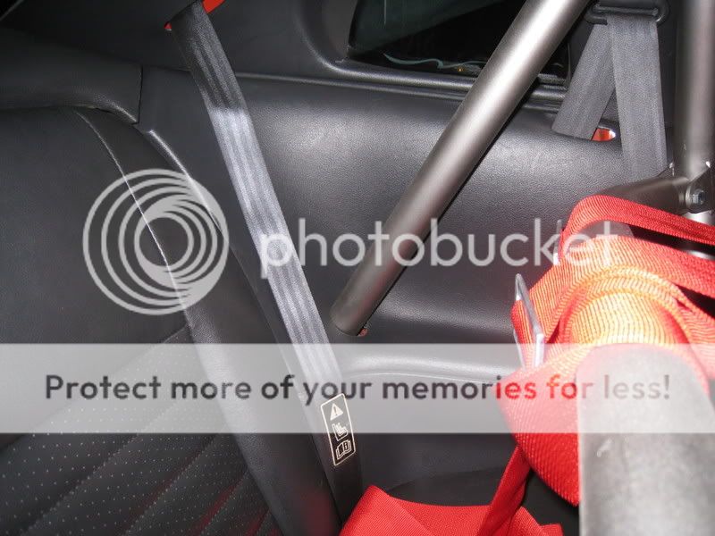 Roll Cages | S197 Mustang Forum - S197Forum.com