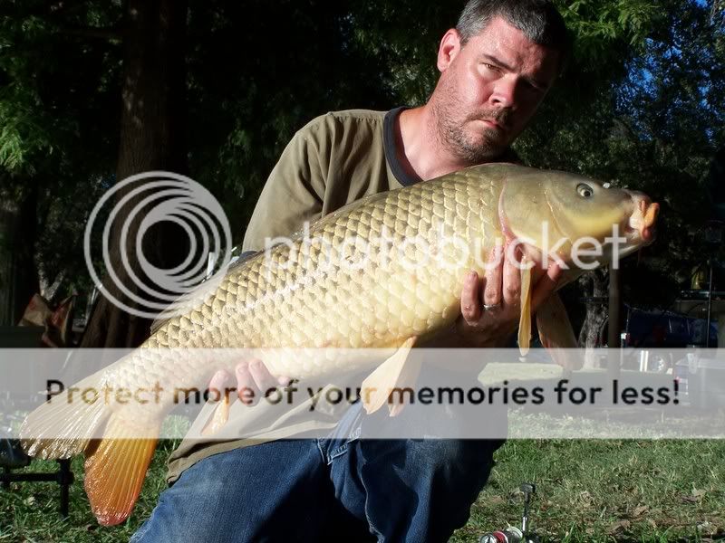 Fish of the Week-Topic 13: Carp - Page 2 - TexasKayakFisherman.com